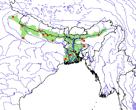 Morenia - Alchetron, The Free Social Encyclopedia